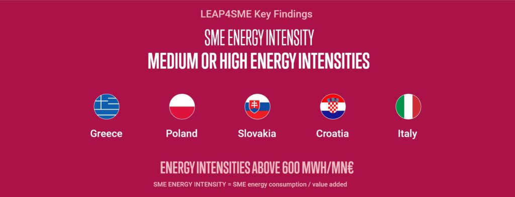 SMEs IN EUROPE | LEAP4SME